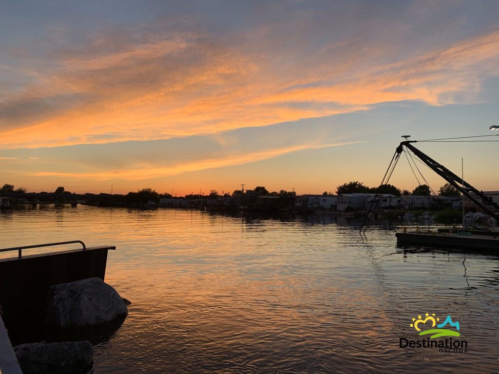 Home [www.oscodatownship.com]