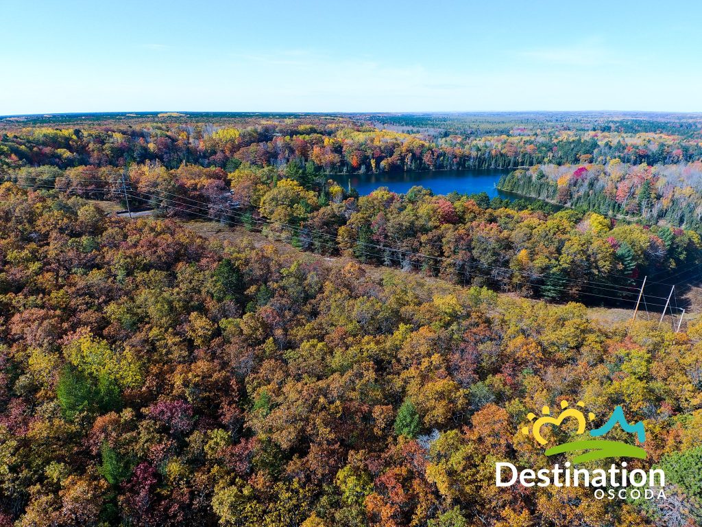 Home [www.oscodatownship.com]