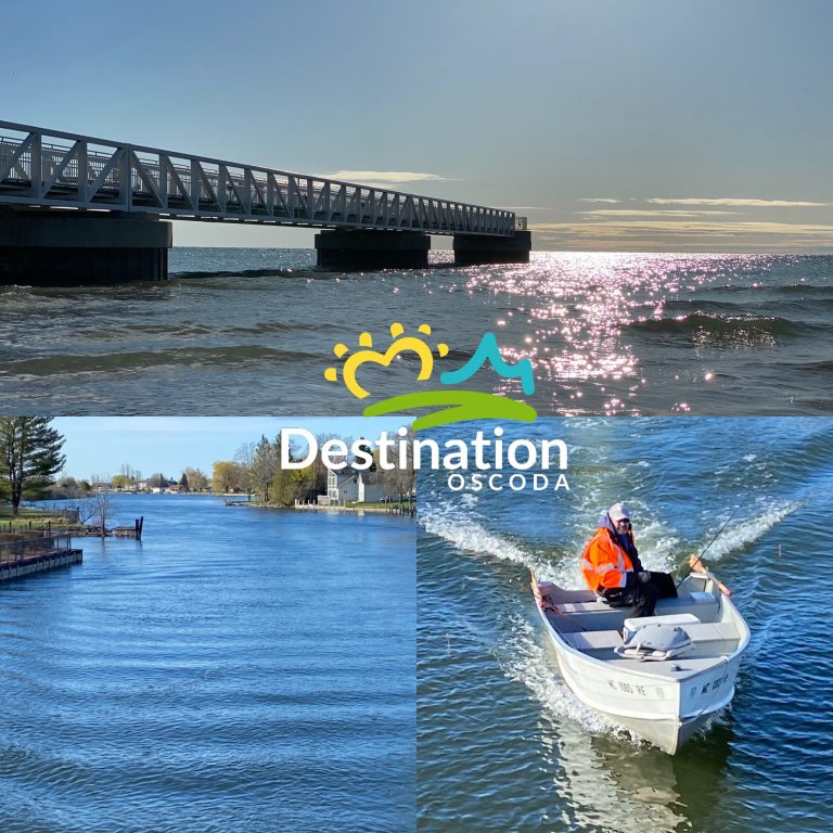 Home [www.oscodatownship.com]